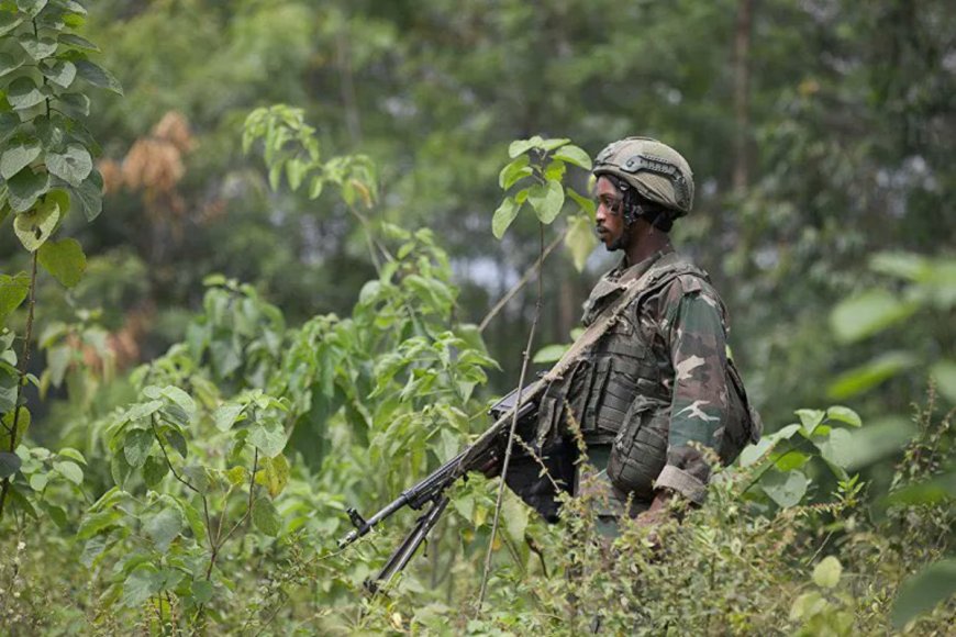 Clashes Erupt in Fizi Territory as Government Forces Repelled by AFC ...